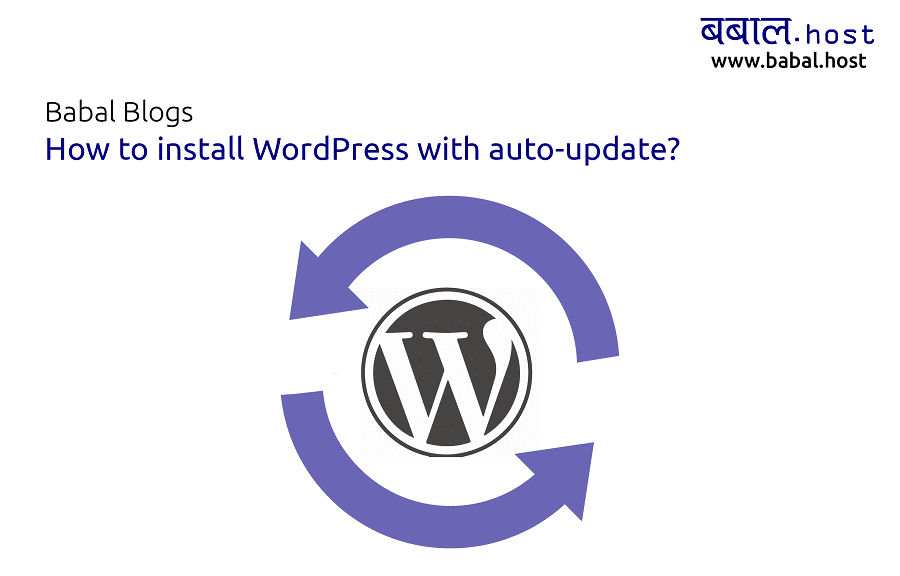 How to install WordPress with auto-update? | Babal Host Blog